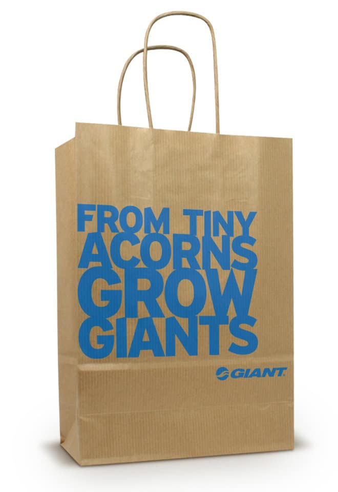 Printed Promotional Bags, Printed Custom Promotional Bags
