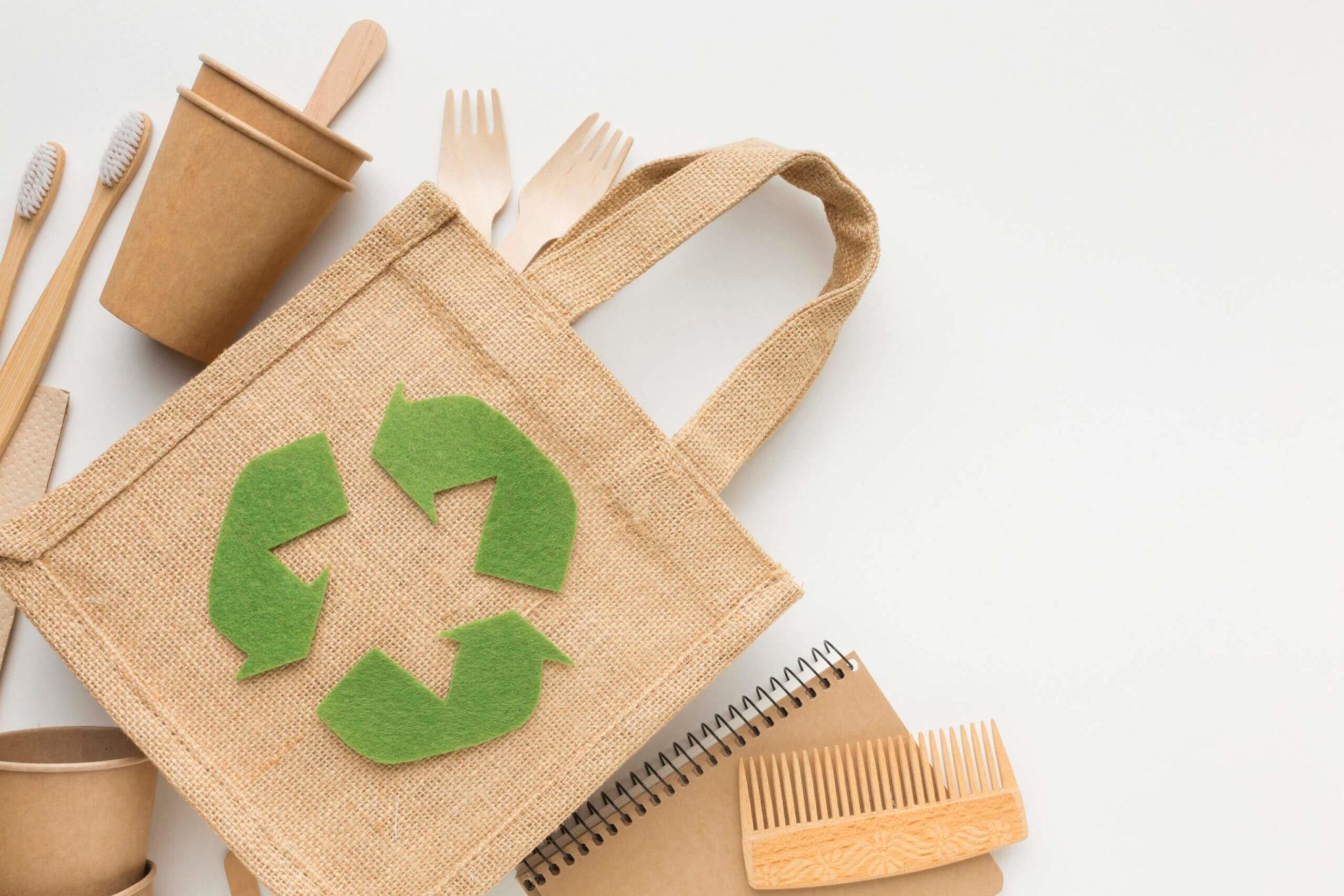 The Best Eco Friendly Bags You Should Use In 2020